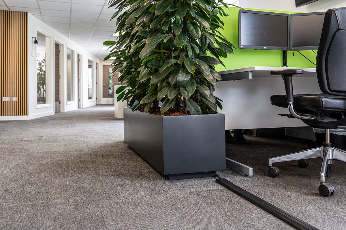 Versatile Cable Protector: 4 Colour Choices in 3m Lengths for Safety ...